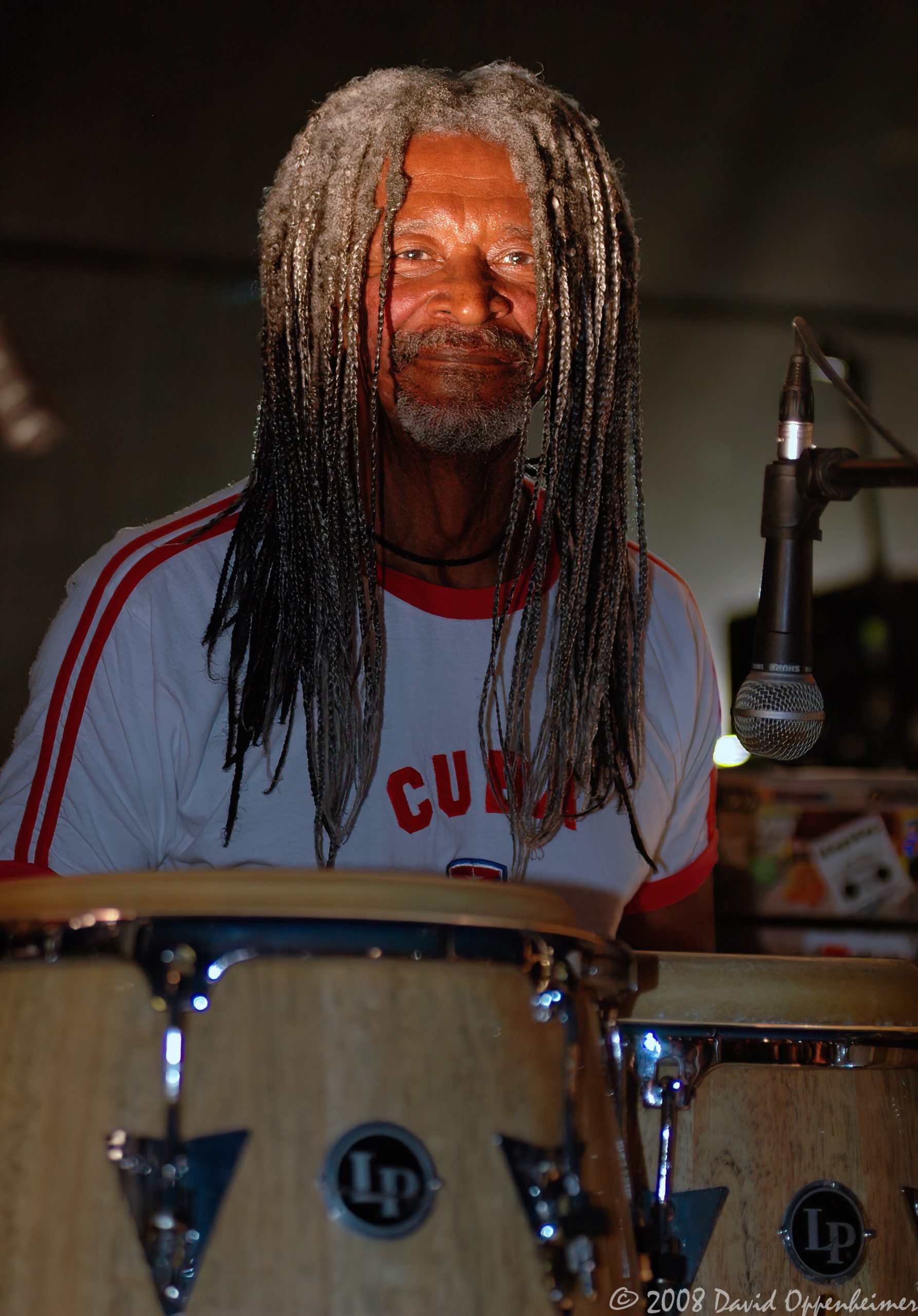 Spam Allstars At Langerado Music Festival 2008 | Performance Impressions